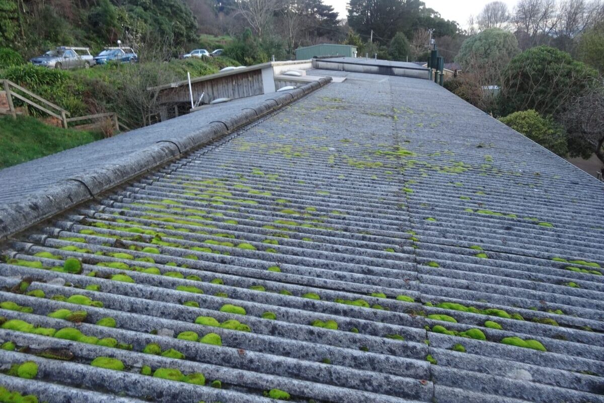Asbestos Roof Replacement | Port Melbourne Asbestos Roofing