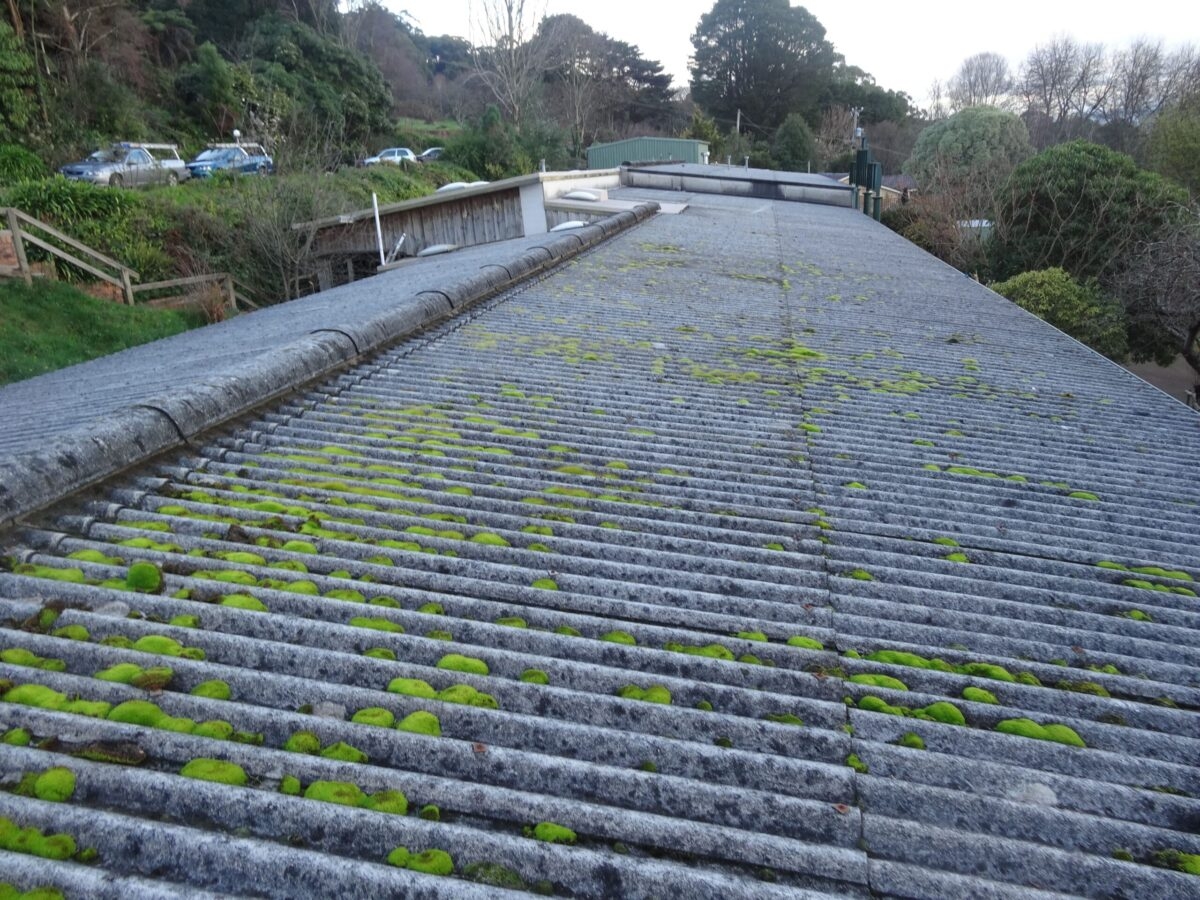 Asbestos Roof Replacement | Port Melbourne Asbestos Roofing